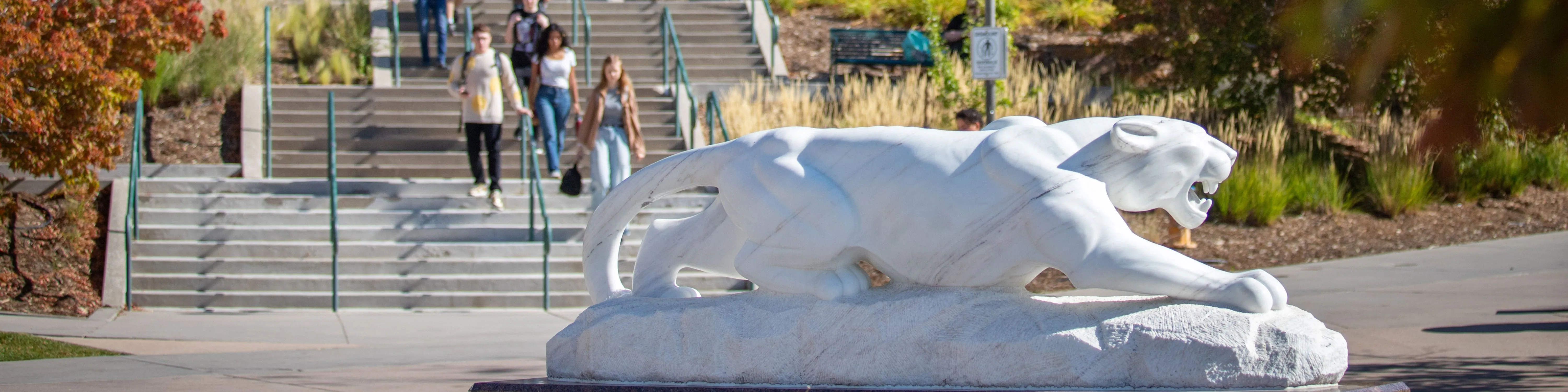 Future Student Resources | Department of Chemistry & Biochemistry